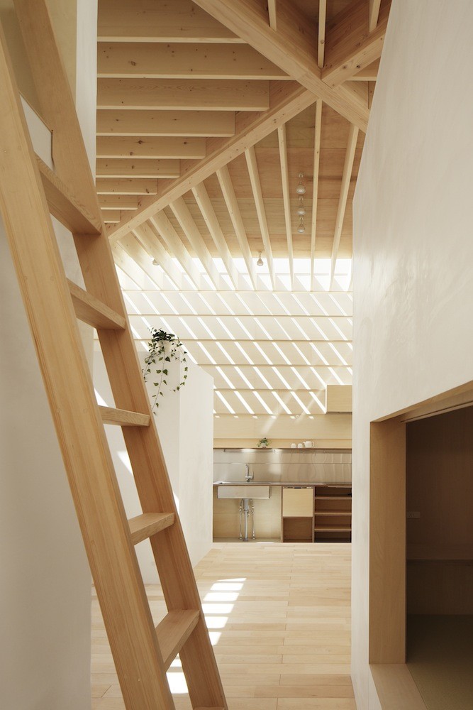 the light walls house is a compact house with natural light wonders ...