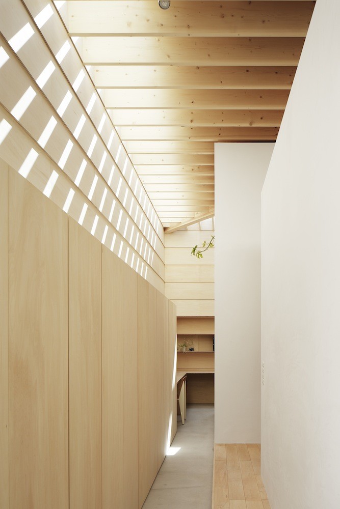 the light walls house is a compact house with natural light wonders ...