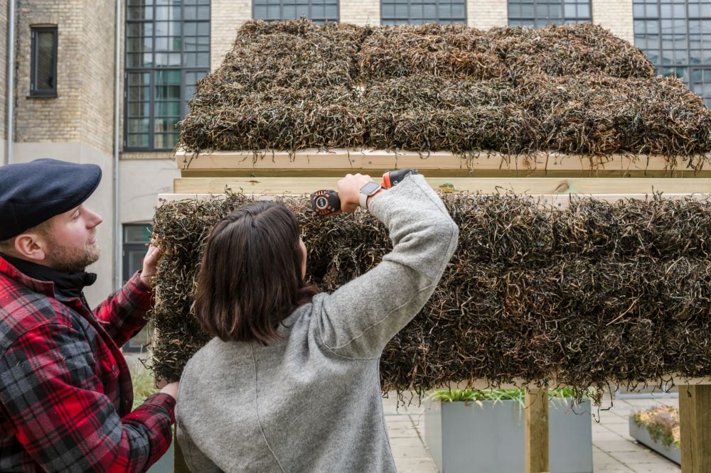 kathryn larsen reintroduces seaweed: the forgotten building material of ...