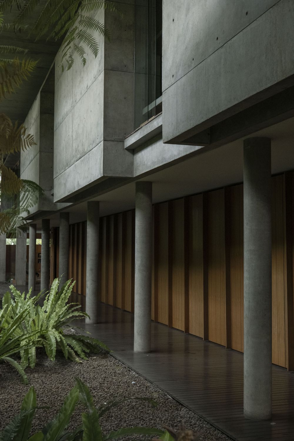 "tropicality: 16 houses by andra matin" celebrates the essence of ...