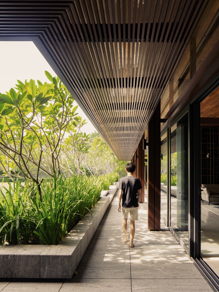 serendipity house is an urban oasis in the heart of singapore: project ...