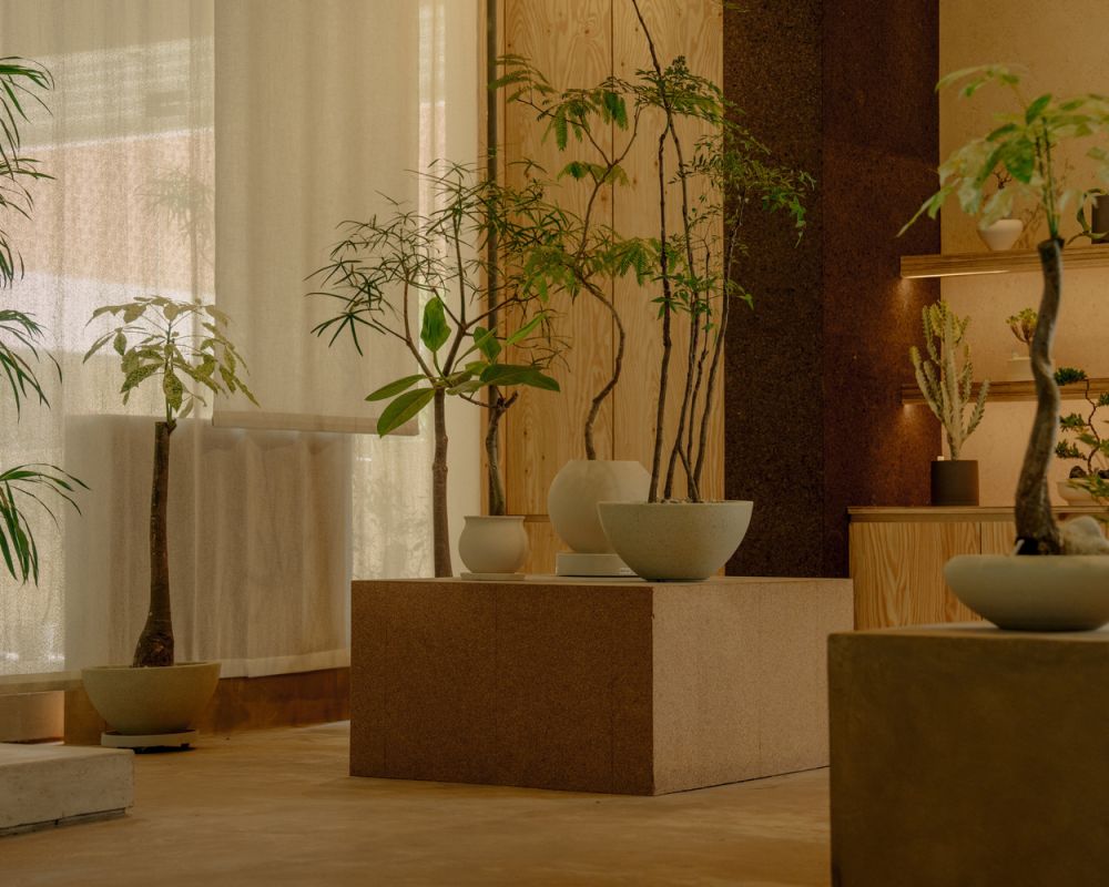 soilboy flagship store embraces natural minimalism through wabi-sabi ...