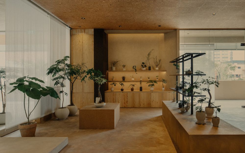 soilboy flagship store embraces natural minimalism through wabi-sabi ...