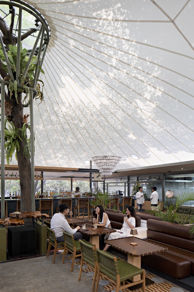 stalk the treehugger introduces an innovative blend of nature and ...