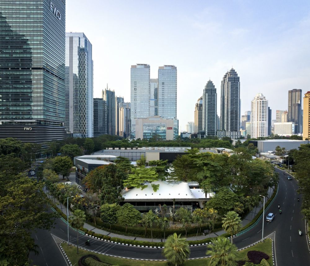 stalk the treehugger introduces an innovative blend of nature and ...