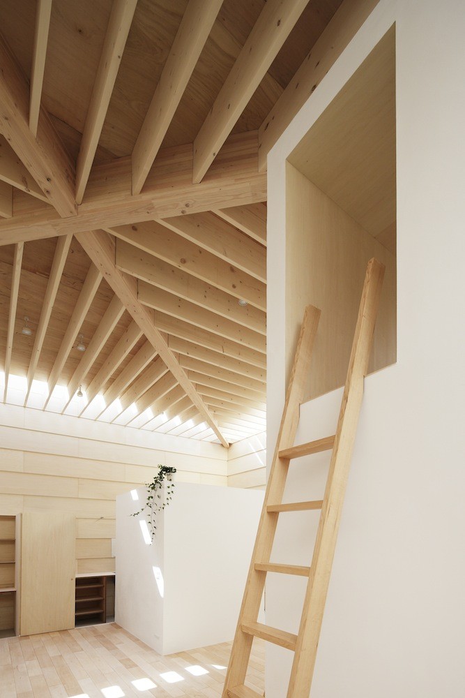 the light walls house is a compact house with natural light wonders ...