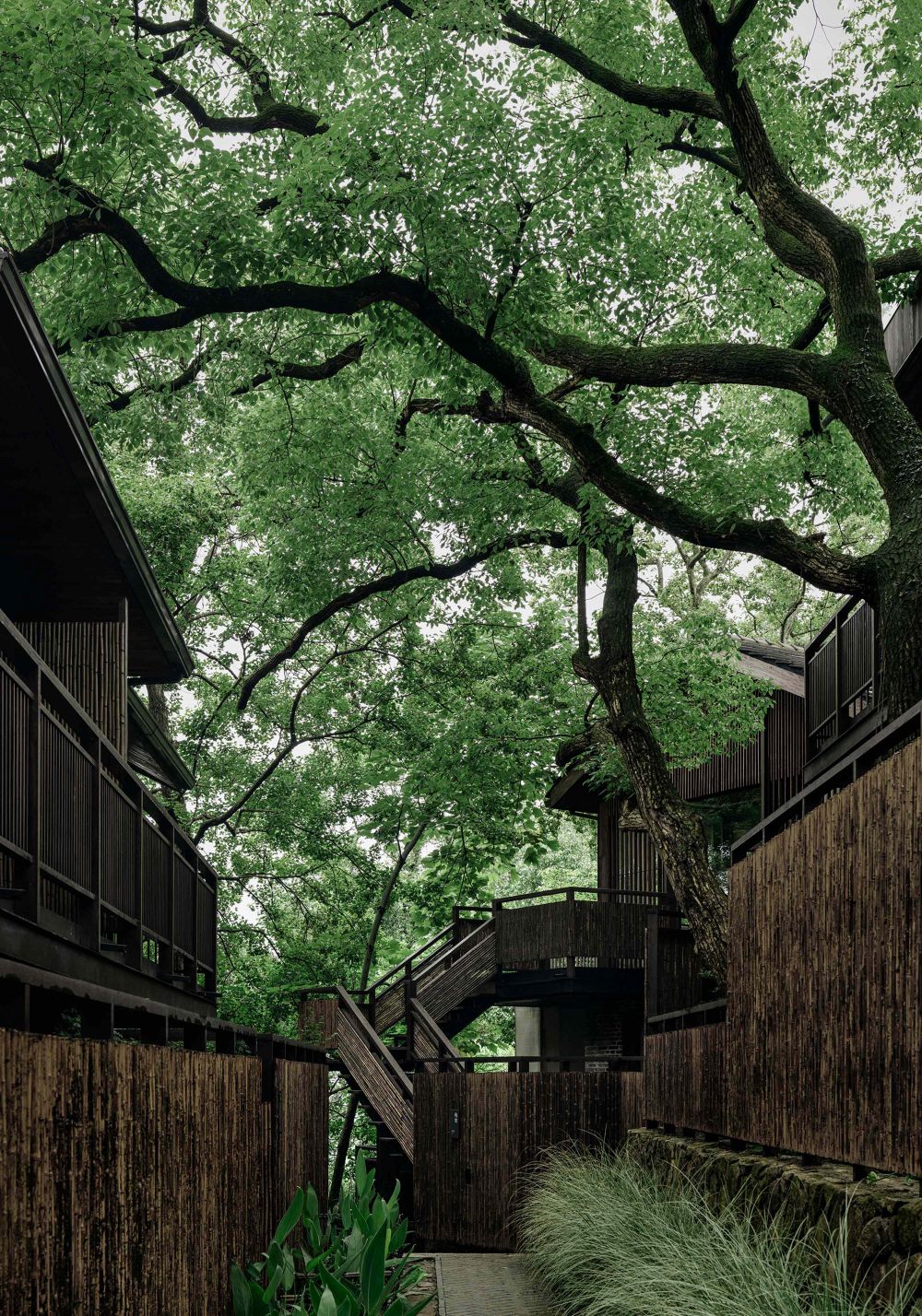 an ethereal haven with a restful atmosphere in hangzhou: sisan hupao ...