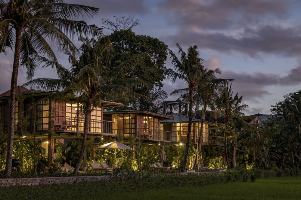 the floating treehouse studio designed for back-to-nature retreat ...