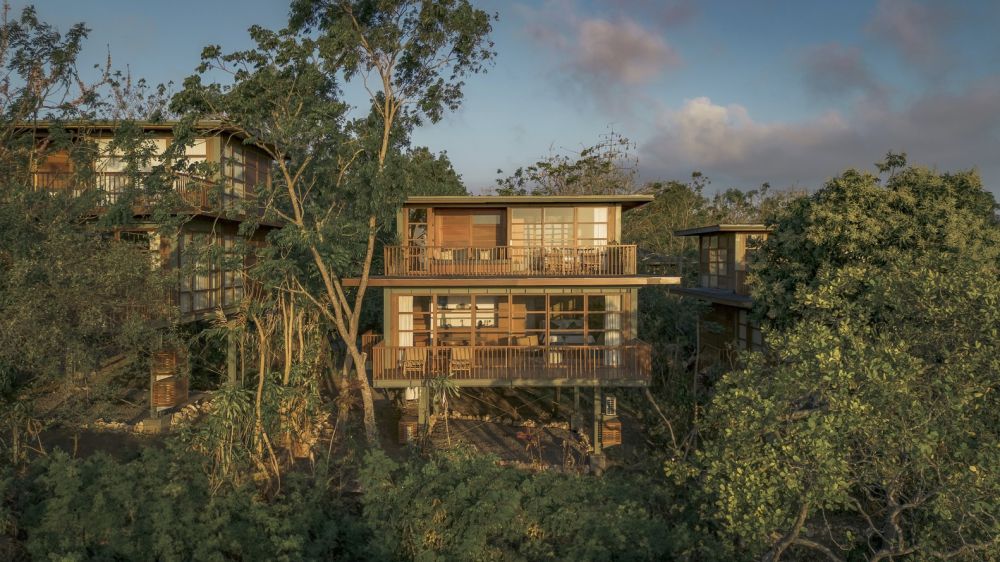 treehouse villa merges nature and luxury amidst bali's tropical retreat ...