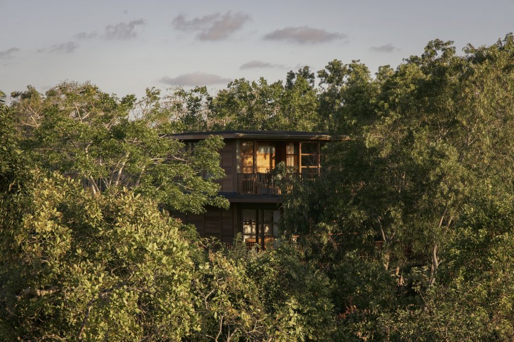 treehouse villa merges nature and luxury amidst bali's tropical retreat ...