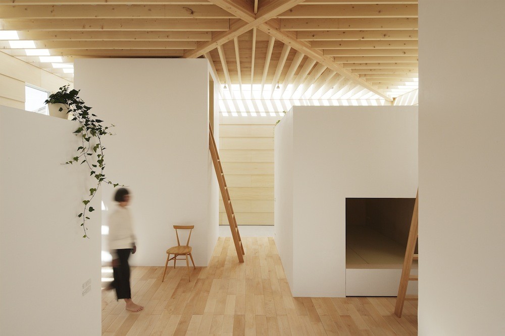 the light walls house is a compact house with natural light wonders ...