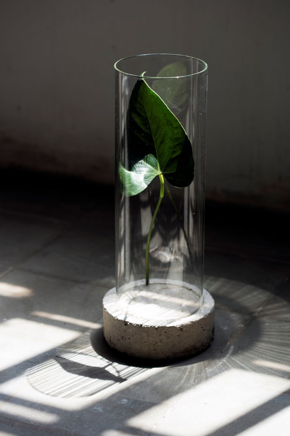 paola sakr talks design healing on #storyofdesign | the design story