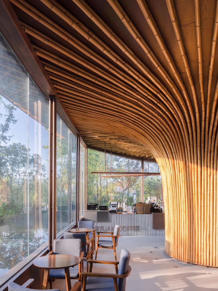 xingcheng exhibition creates a sculptural ode to bamboo and nature ...