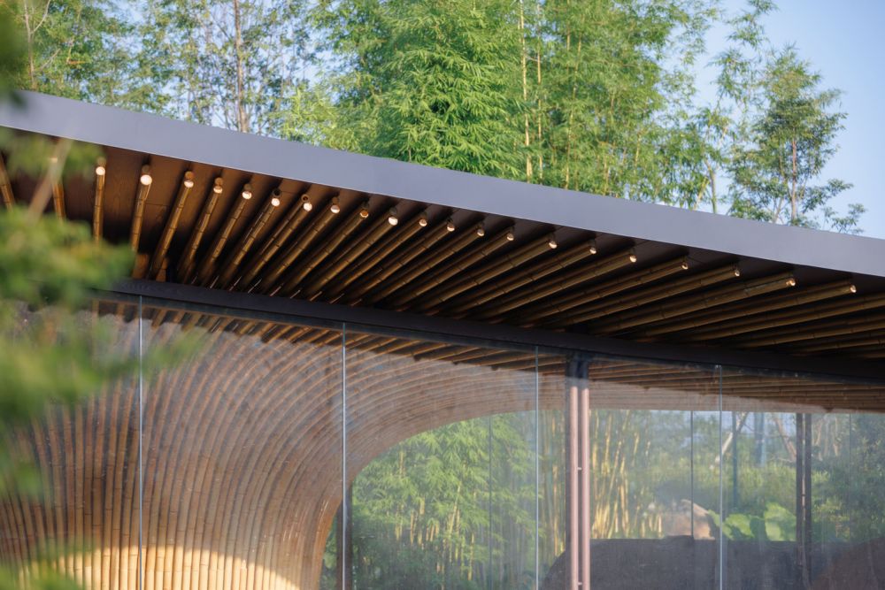 xingcheng exhibition creates a sculptural ode to bamboo and nature ...
