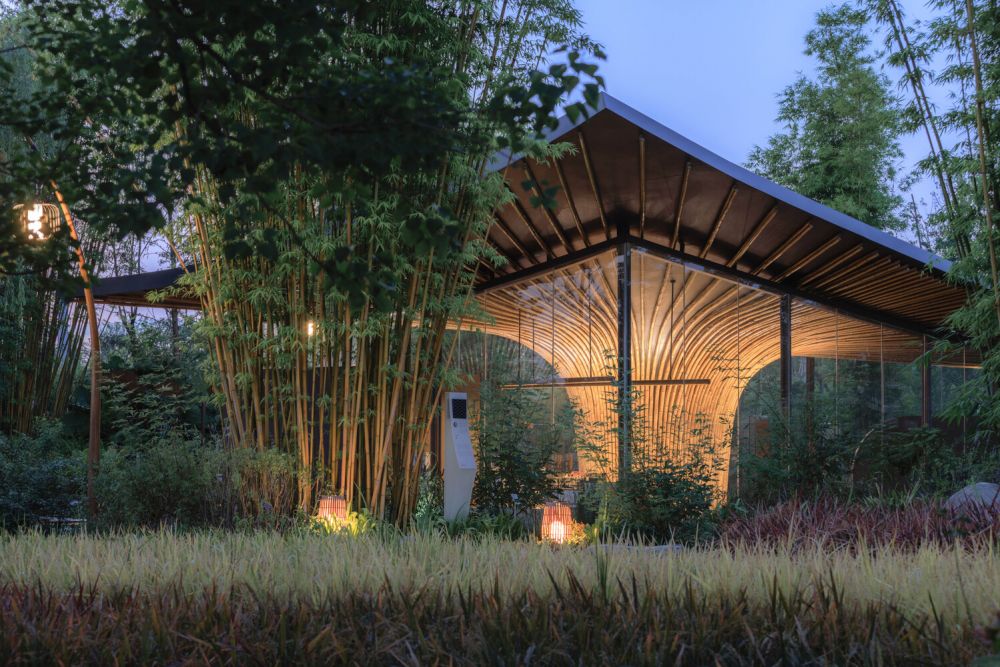 xingcheng exhibition creates a sculptural ode to bamboo and nature ...