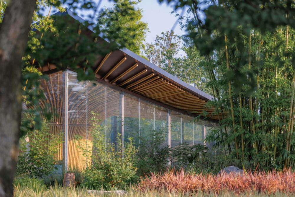 xingcheng exhibition creates a sculptural ode to bamboo and nature ...