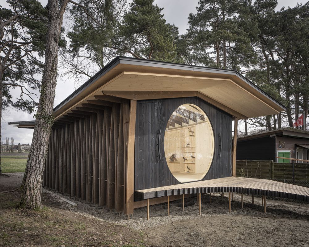 inside the contemplative bird house in préverenges: project by ...