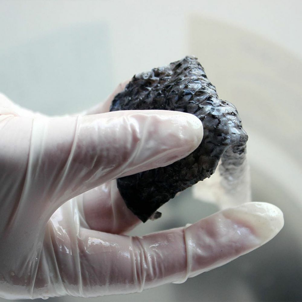 news: student design turn fish wastes to recyclable plastic | the ...