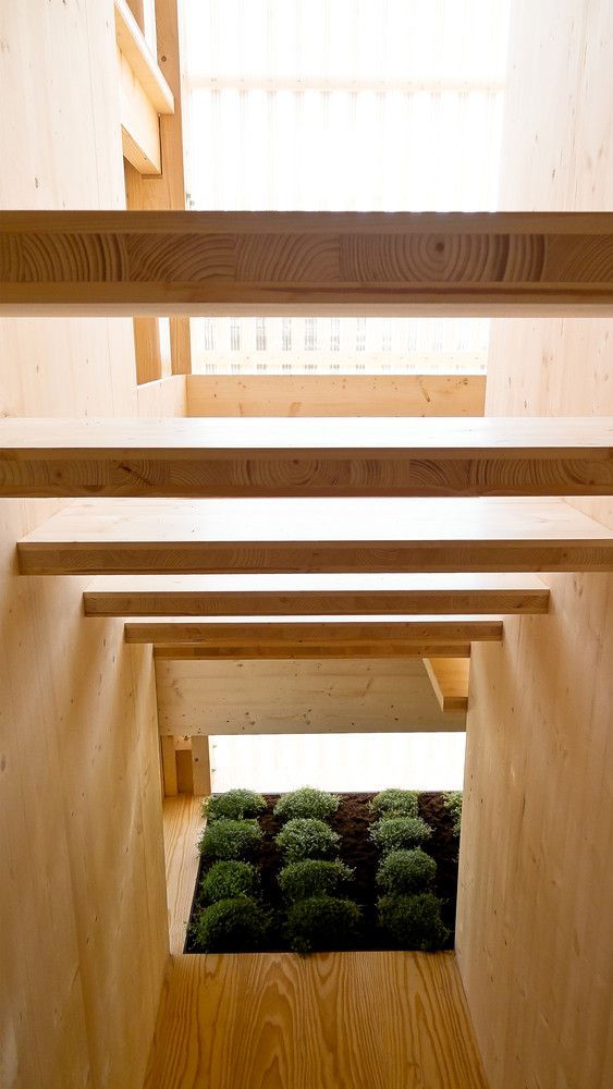 wood and sustainability: a closer look | the design story