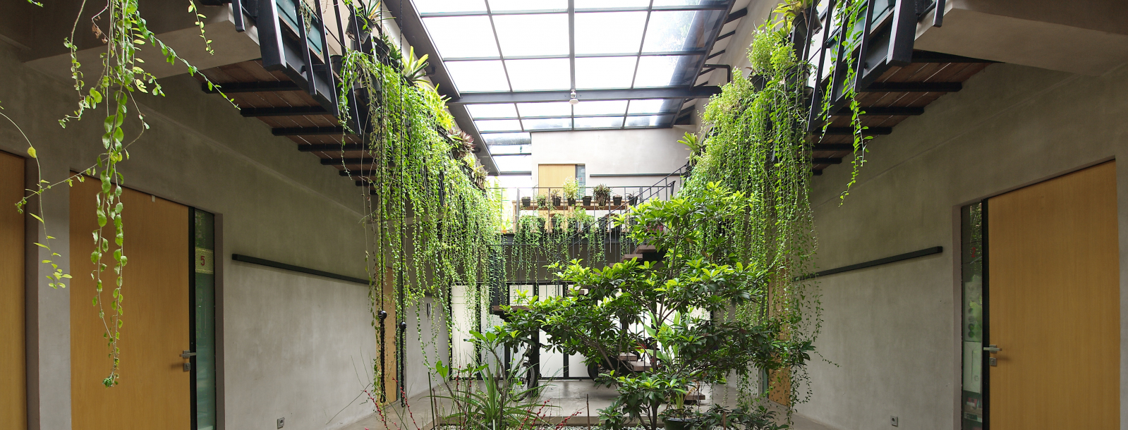 portfolio | the design story